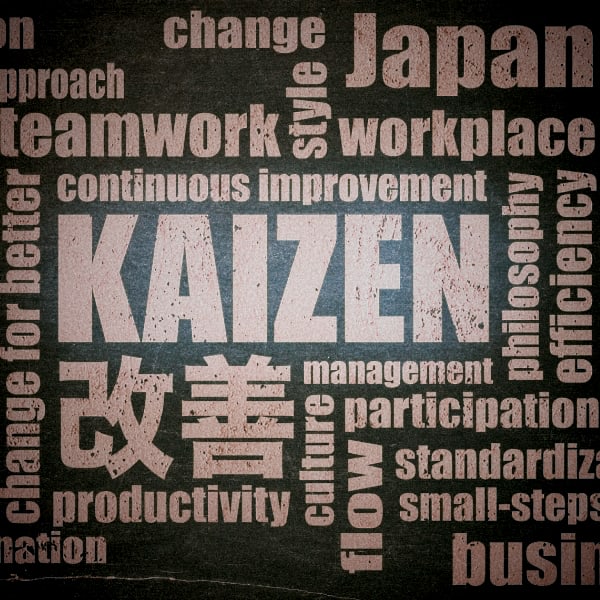 Kaizen: The Quiet Power of Constant Improvement – IF... THEN WELL